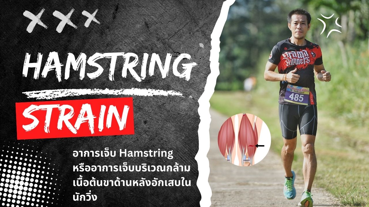กล้ามเนื้อต้นขาด้านหลังอักเสบ หรือ Hamstring strain ในนักวิ่ง – Bear ...
